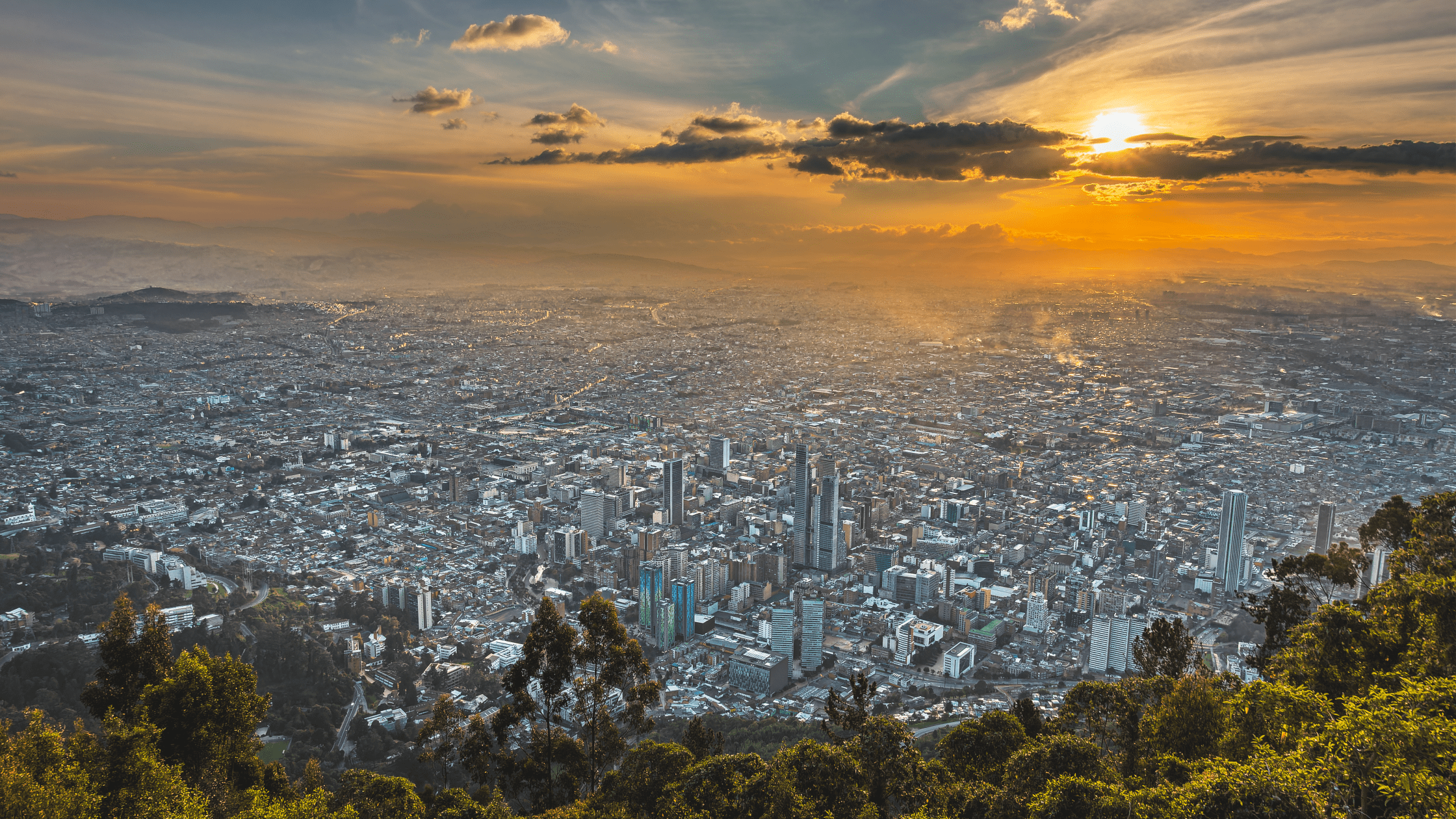 Portal de Servicios Ciudadanos - Alcaldía de Bogotá