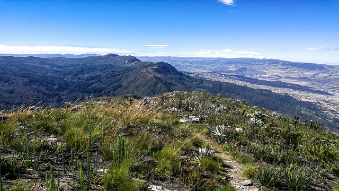 9111387720788118170allereaparecen Las Pavas En Los Cerros Orientales De Bogotc3a1html